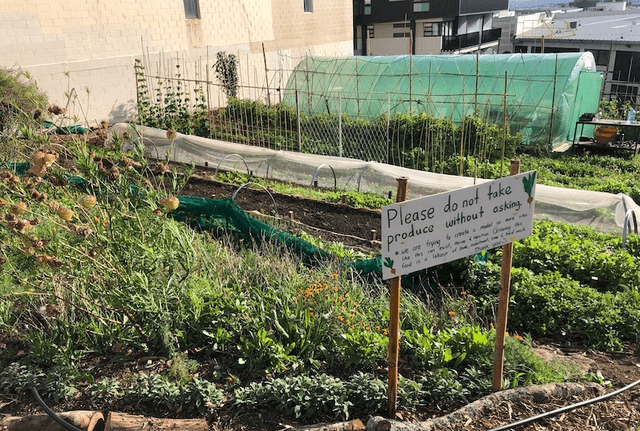 Turning waste into resource: Auckland city’s new living compost hub ...