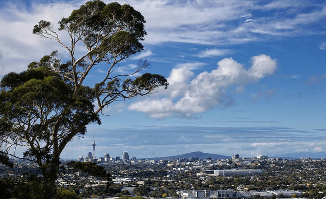 Why Mt Albert is the best suburb in Auckland | The Spinoff