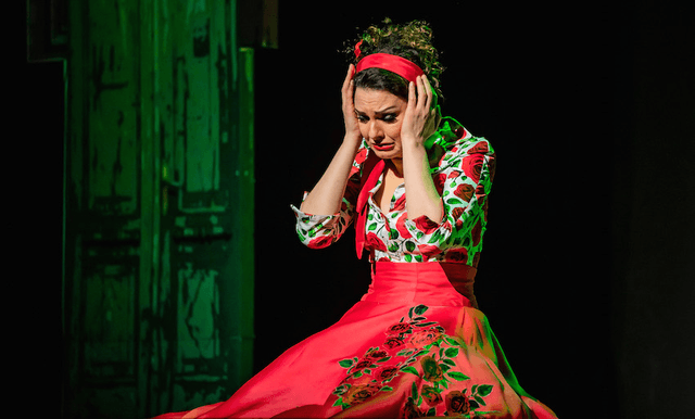 How an opera singer maintains her voice | The Spinoff