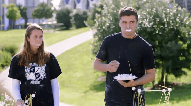 What you need to know about The Block NZ: Firehouse | The Spinoff