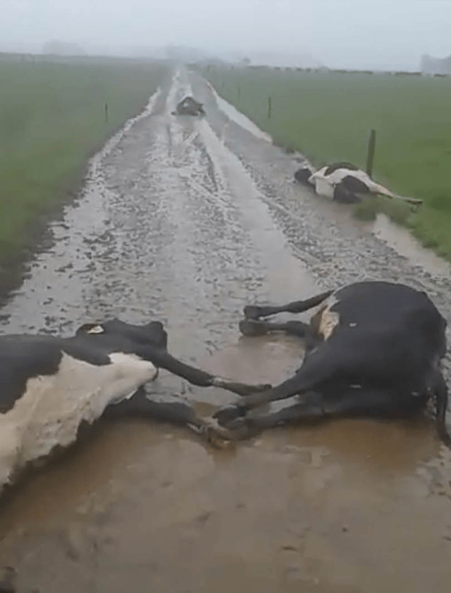 What does it feel like to be struck by lightning? | The Spinoff