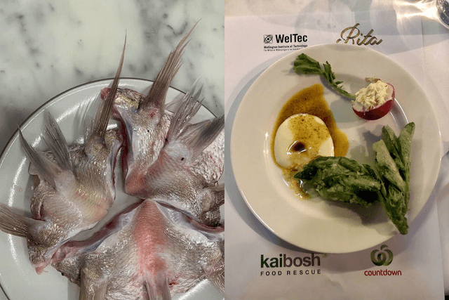 Stalks, pests and beer gone bad: Tricks of the trade from a no-waste ...