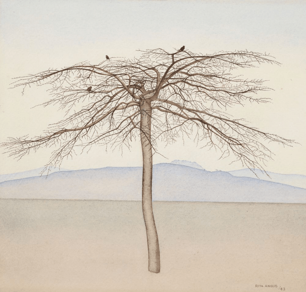 A New Zealand modernist in London: The Royal Academy celebrates Rita ...