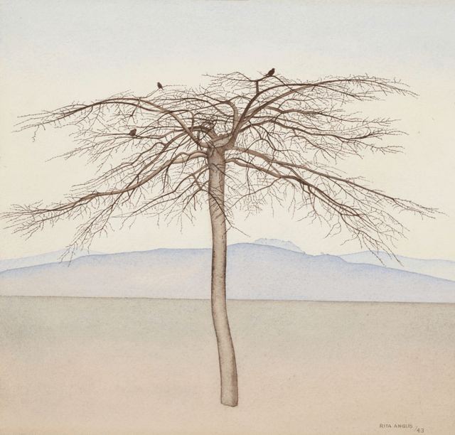 A New Zealand modernist in London: The Royal Academy celebrates Rita ...