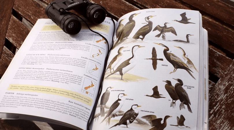 A field guide to field guides | The Spinoff