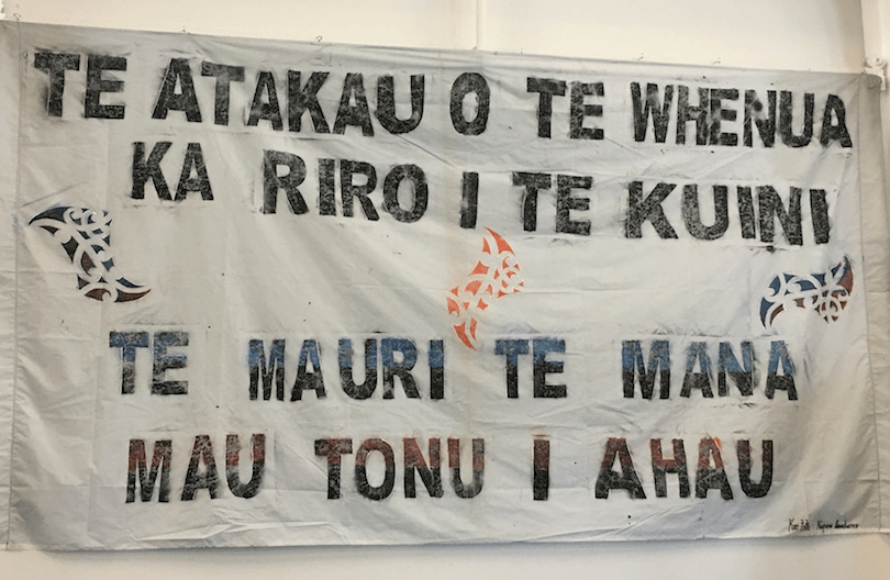 An insider’s guide to the Ngāpuhi settlement | The Spinoff