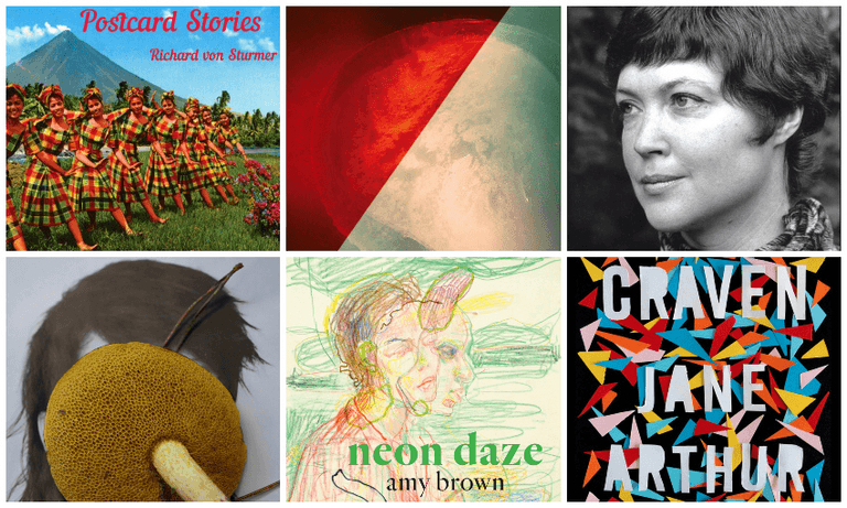 The 10 best New Zealand poetry collections of 2019 | The Spinoff