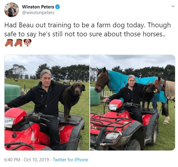 Just seven heartwarming pictures of Winston Peters and his dog, Beau ...