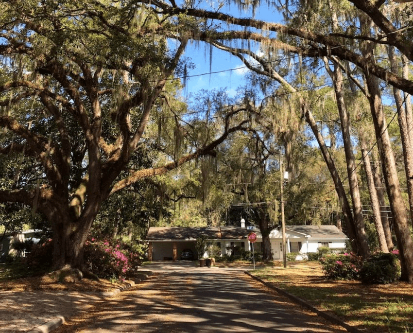 On making art and disappearing in Florida | The Spinoff