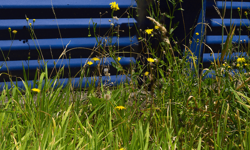 Real-life home decor tips from a real-life creative person | The Spinoff