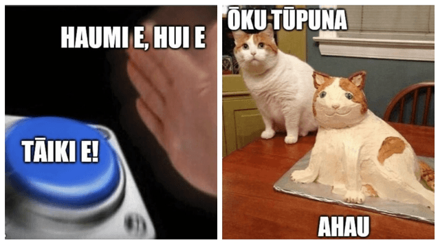 By any memes necessary: How Māori meme pages are helping to decolonise ...