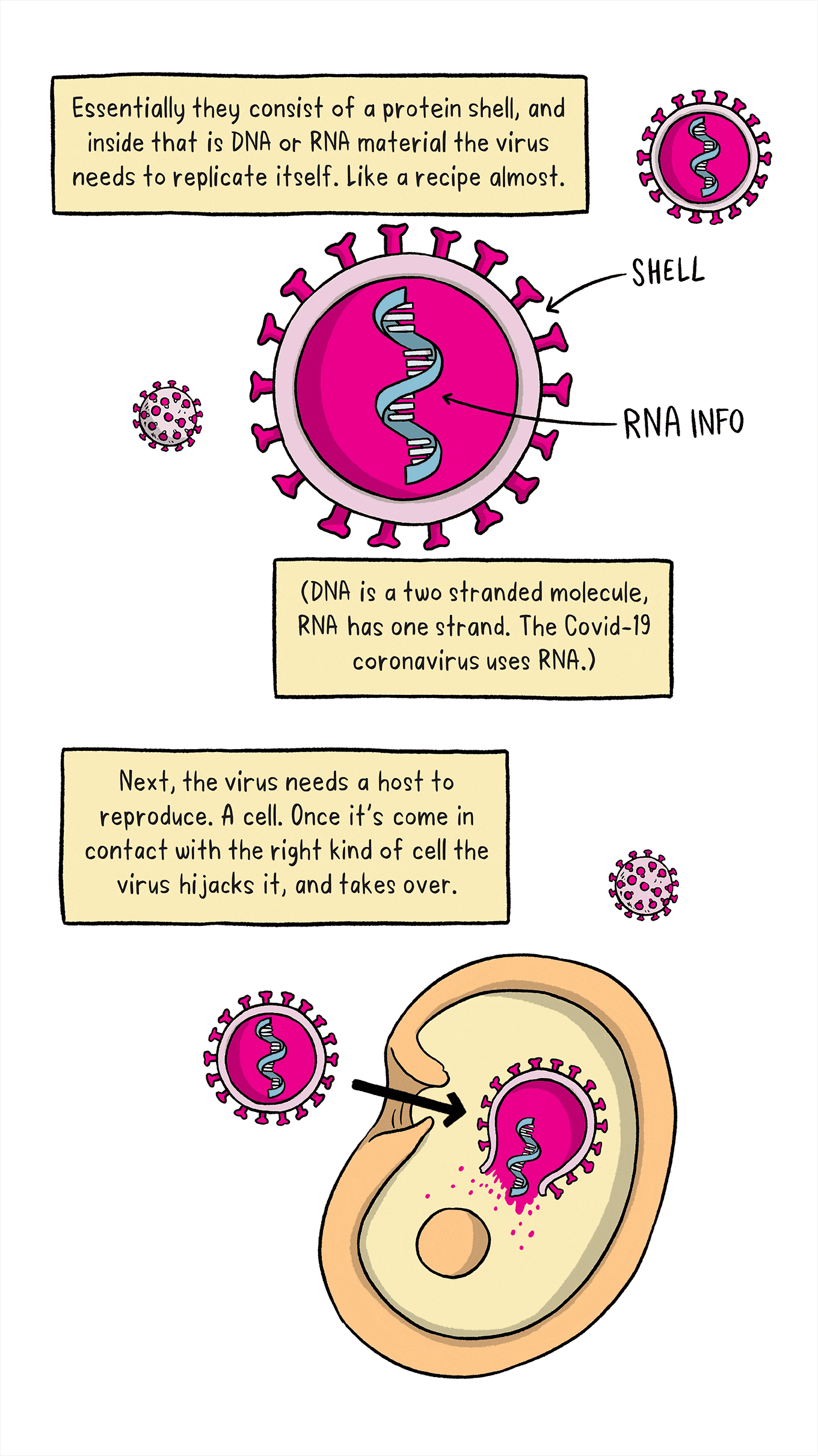 The Side Eye: Viruses vs Everyone | The Spinoff