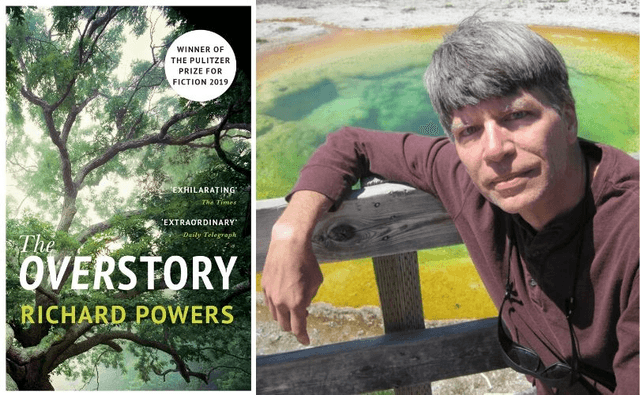 A review of The Overstory, a knockout novel that speaks for the trees ...