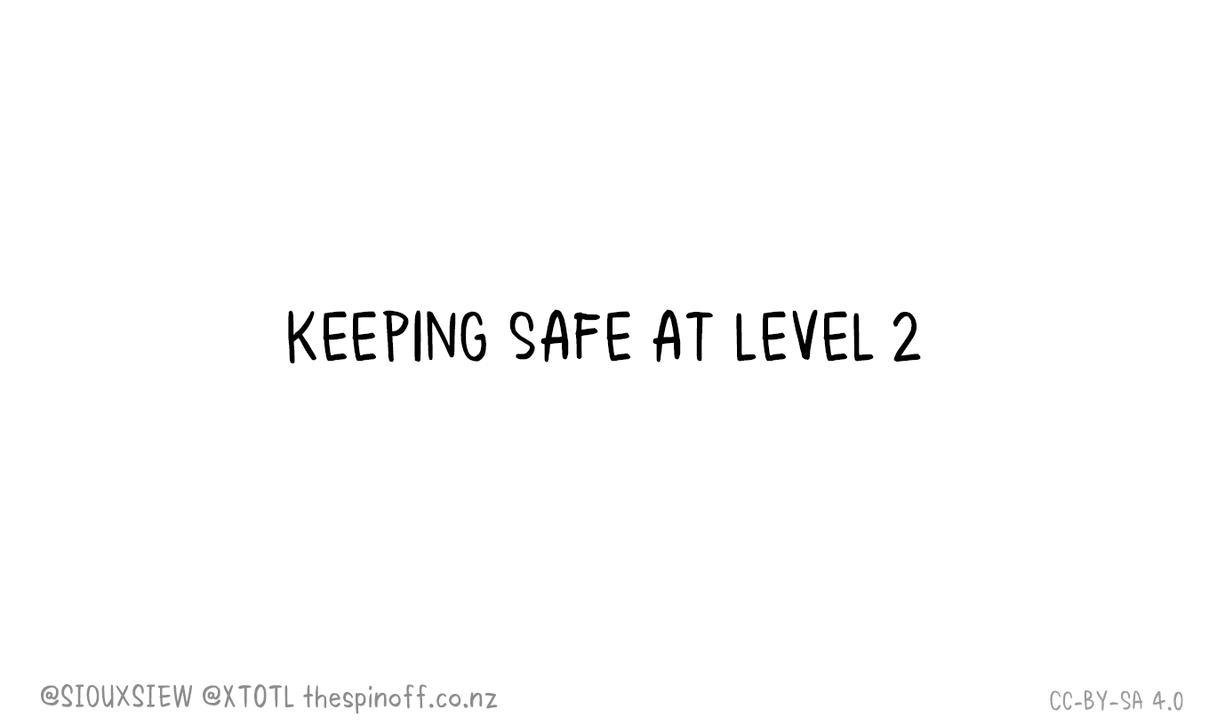 Siouxsie Wiles & Toby Morris: Simple rules to play it safe at alert ...