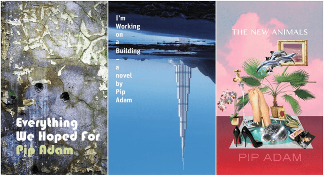 On the gobsmackingness of Pip Adam and Nothing to See | The Spinoff