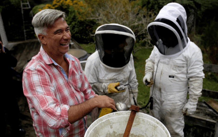 The debasement of art in schools | The Spinoff