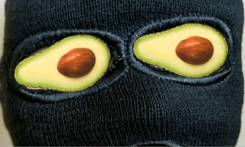 Terrible news: the avocado crime gangs are about to strike again | The ...