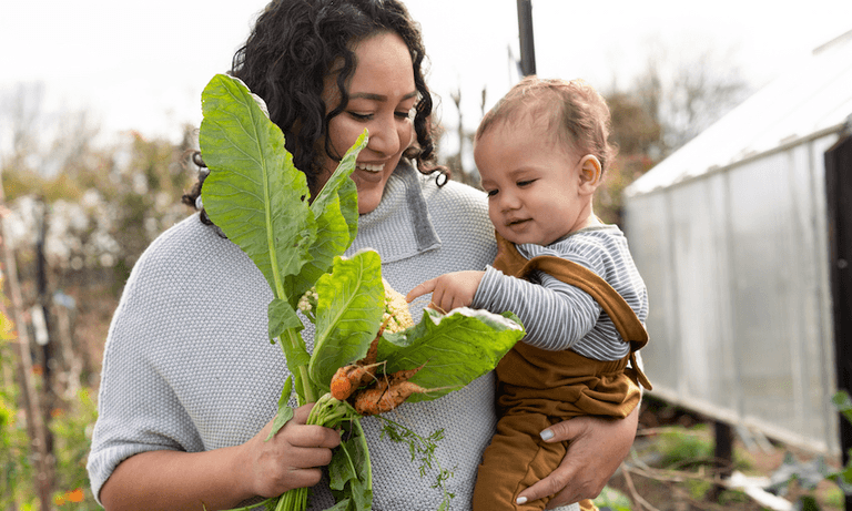 Learning to live by the maramataka: Mahuru | The Spinoff