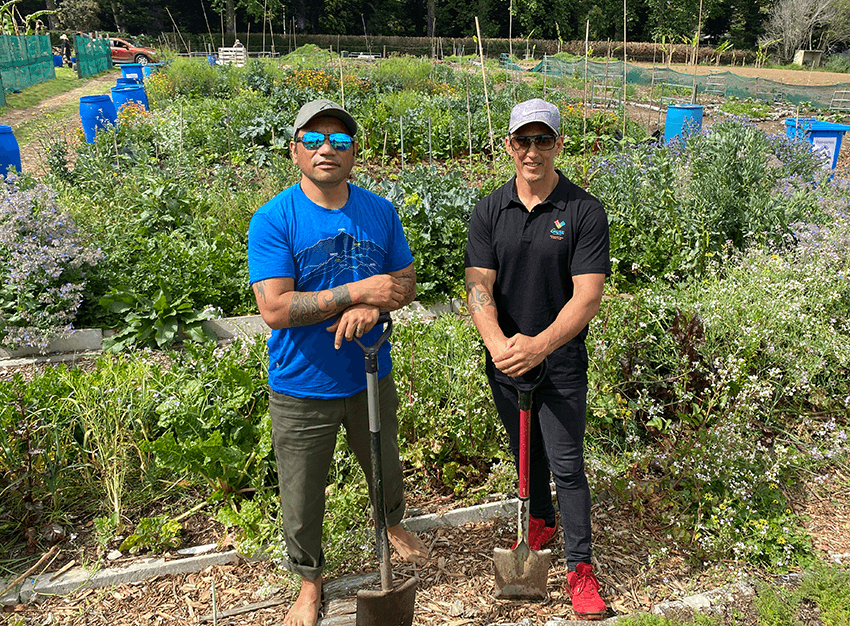 All fired up: Māngere gets set for first-ever marae food festival | The ...