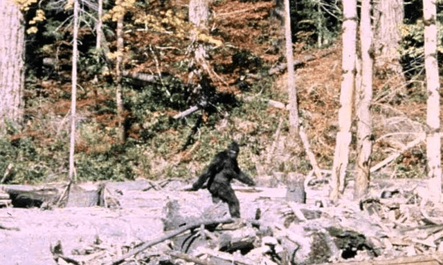 Hysteria, hoaxes and hauntings: Meet Auckland’s world-famous debunker ...