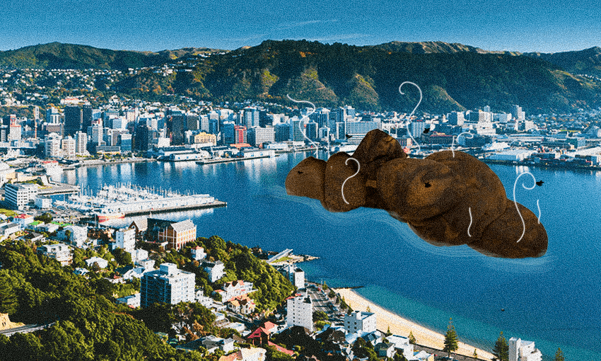 ‘Great day for poo in Wellington’: Faecal fans celebrate capital’s ...