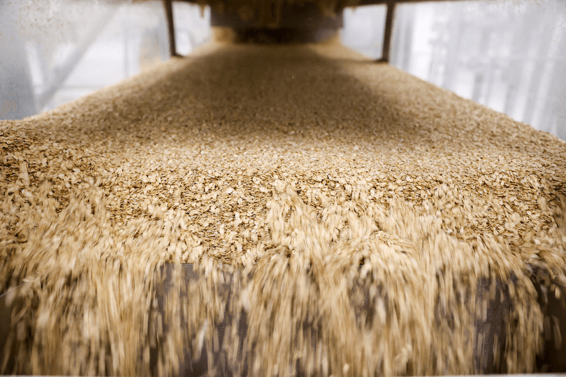 All the oat milks we could find, reviewed and ranked | The Spinoff