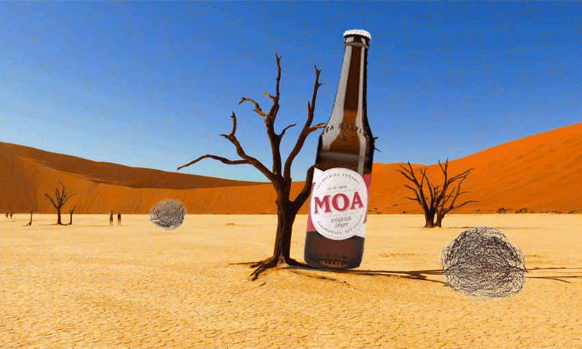 How Moa’s awful marketing left it stranded in craft beer no man’s land ...