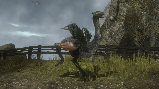 Why do ‘moa-flavoured’ chips exist, and what do they taste like? | The ...