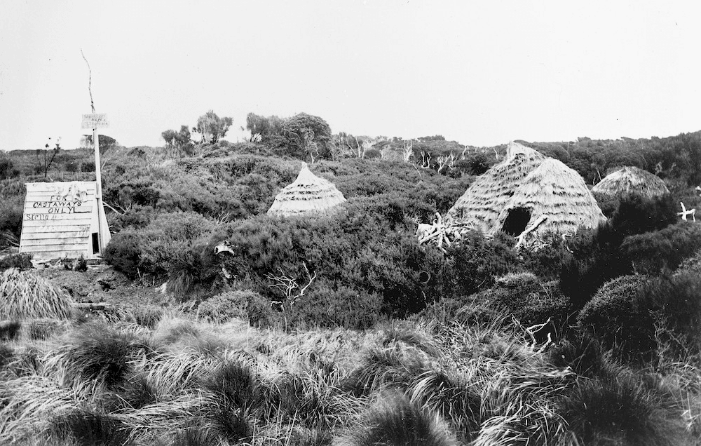 Disappointment Island: The New Zealand place that became a global meme ...