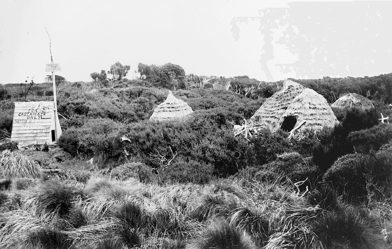 Disappointment Island: The New Zealand place that became a global meme ...