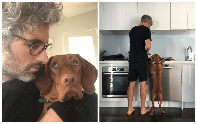 The power of the dog park to create human connections | The Spinoff