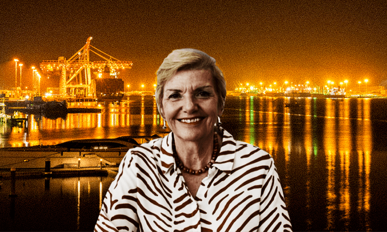 Anne Tolley’s gang of four lay out their plan to rescue Tauranga | The ...