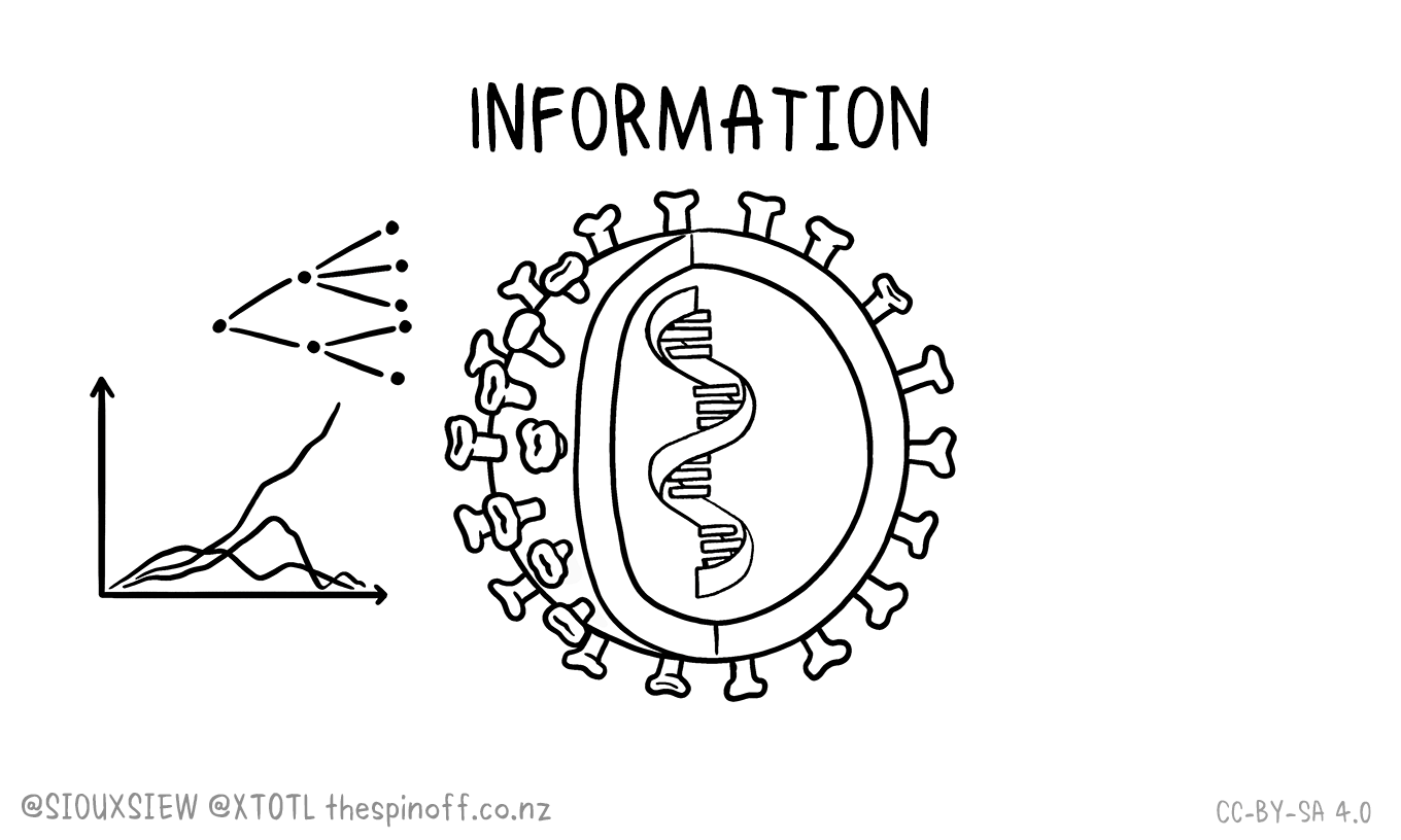 Siouxsie Wiles: There’s a lot of vaccine BS around. Here’s why I won’t ...