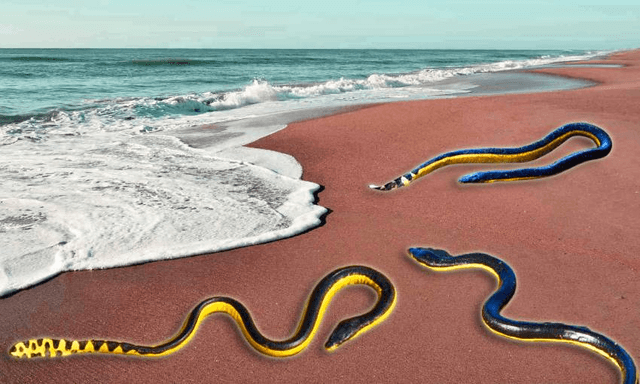 A hisssstory of snake headlines in Aotearoa | The Spinoff