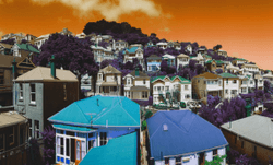 A simple guide to Wellington’s District Plan and why you should care ...