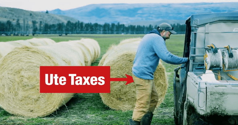 The real meaning of tax relief | The Spinoff