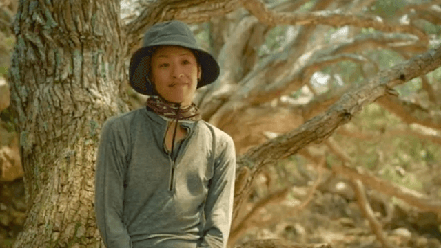 Celebrity Treasure Island power rankings: To the victor go the oils ...