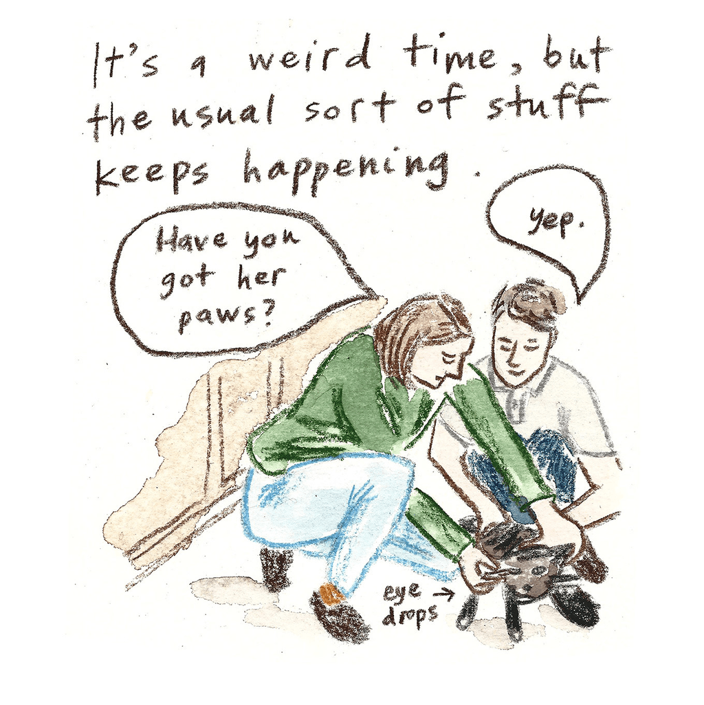 Comic of the Month: Levelling Out, By Zoë Colling | The Spinoff