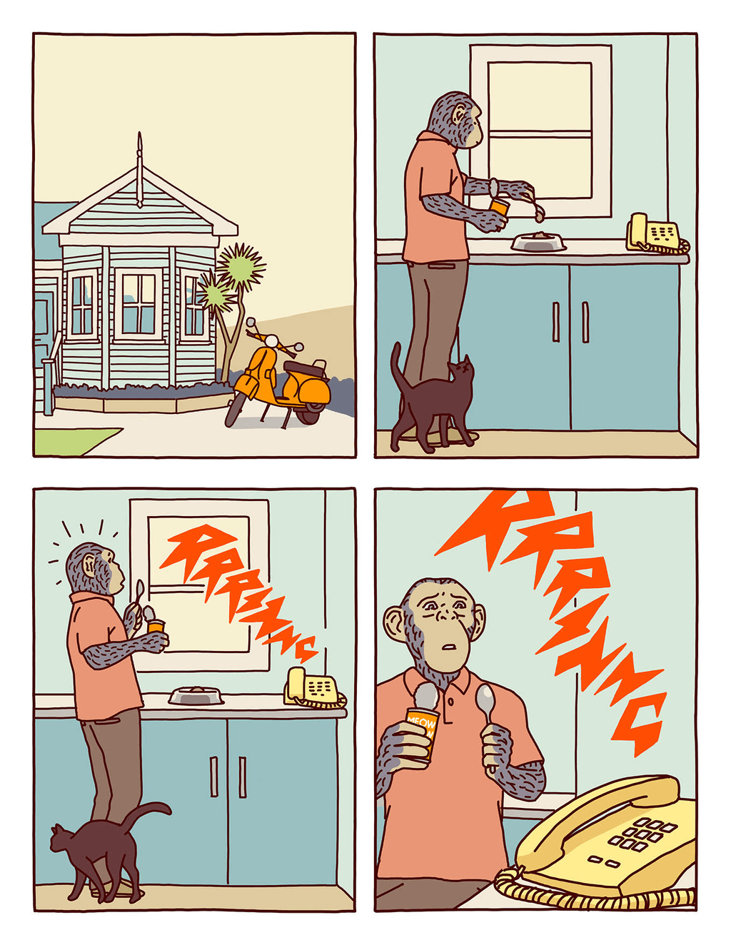 Comic of the Month: Rufus Marigold, by Ross Murray | The Spinoff