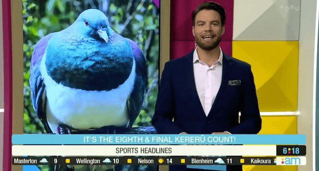 It’s official: The AM Show has gone just as bonkers as Breakfast | The ...