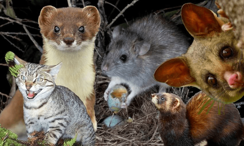 New tactics against predators and pests promise to be more effective ...