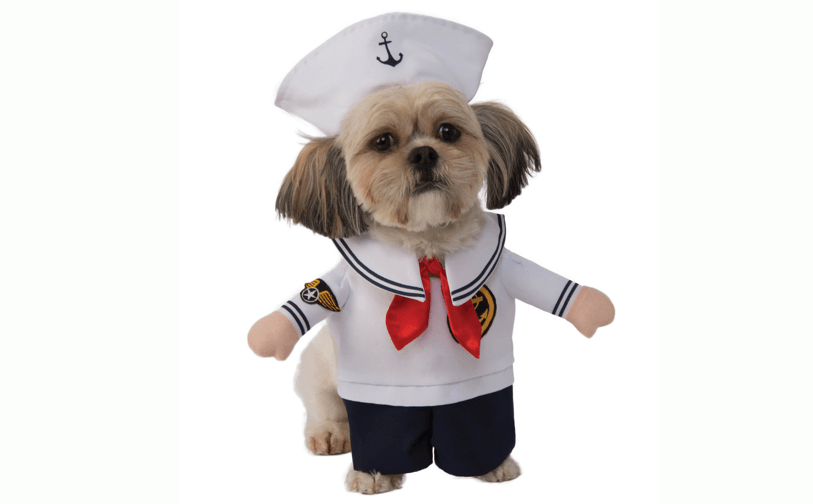 Just 20 dogs wearing dog costumes, ranked and reviewed | The Spinoff