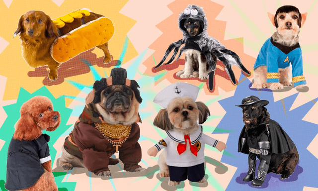Just 20 dogs wearing dog costumes, ranked and reviewed | The Spinoff