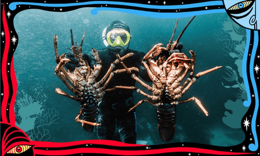 Get in the sea, take what you need, but don’t forget to give back | The ...