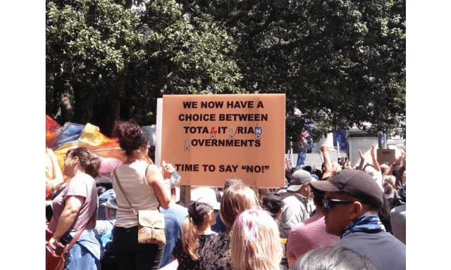 A nice day for a protest: Out among the anti-government marchers in ...