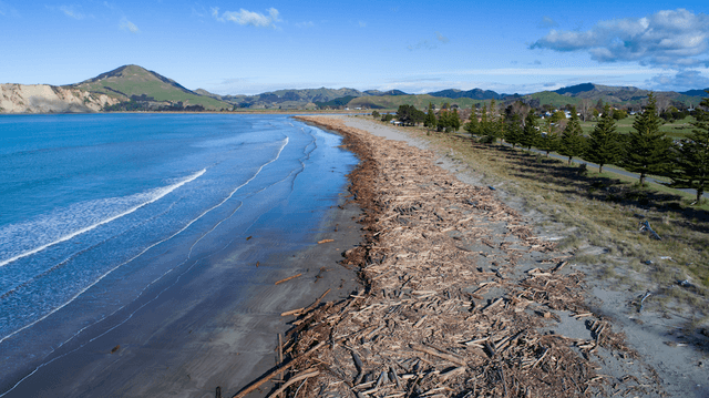 What is slash and why is it so dangerous in bad weather? | The Spinoff