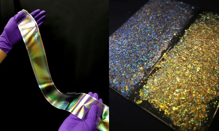 Ten feel-good science stories you might have missed in 2021 | The Spinoff