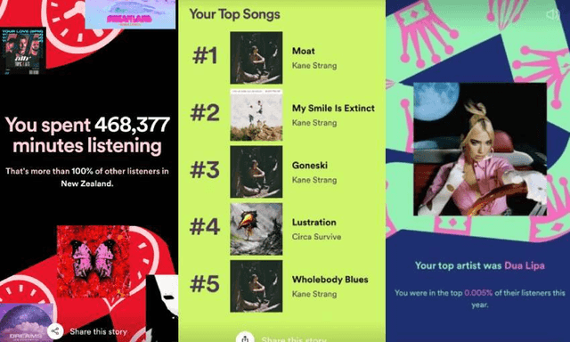 Meet New Zealand’s most extreme Spotify listeners | The Spinoff