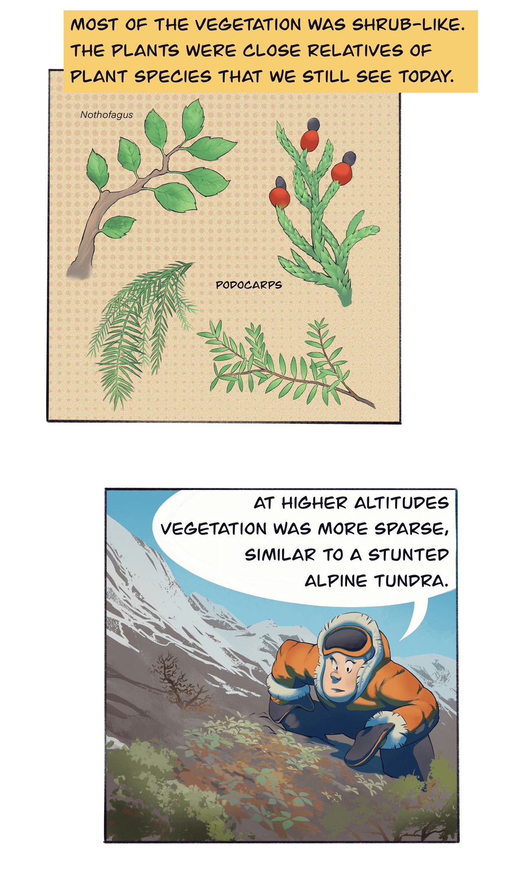 Returning to a green Antarctica | The Spinoff