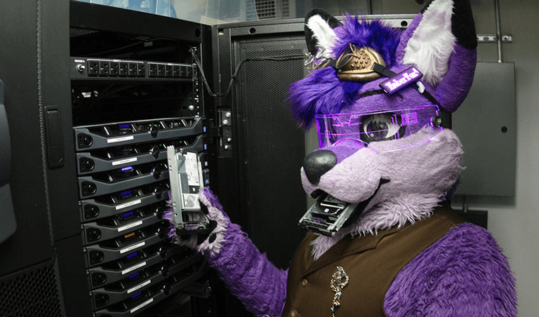 Who runs the internet? Furries | The Spinoff